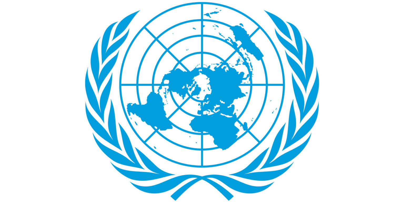 UN Tax Committee: Wealth and Solidarity Taxes - Regfollower