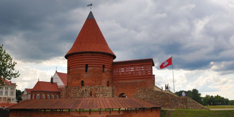 Lithuania: VMI clarifies rules for transferring tax losses